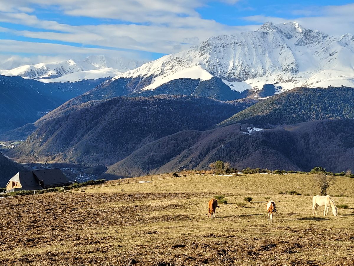 21-01-2026 Photos J.-M. Laffite - Cap Deraut depuis Jézeau avec B ...