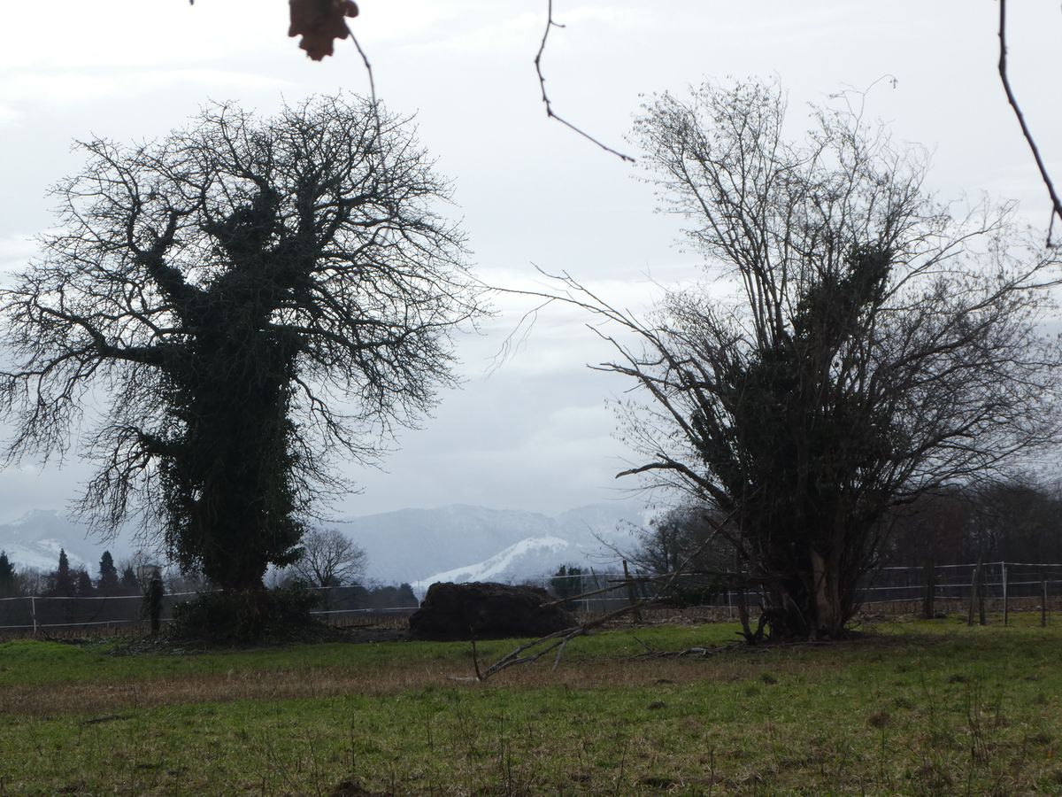 24-01-2026 Photos F. Daligaux - Menhir de Ger avec S. Mas et M. Eymard ...