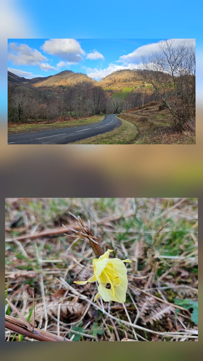 25-01-2026 Photos I. Pène - Cabane Larranche avec J.-P. Capin et M ...